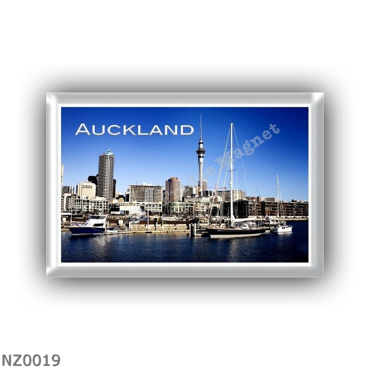 NZ – Auckland – Westhaven Bay Harbor – Travels and Magnets